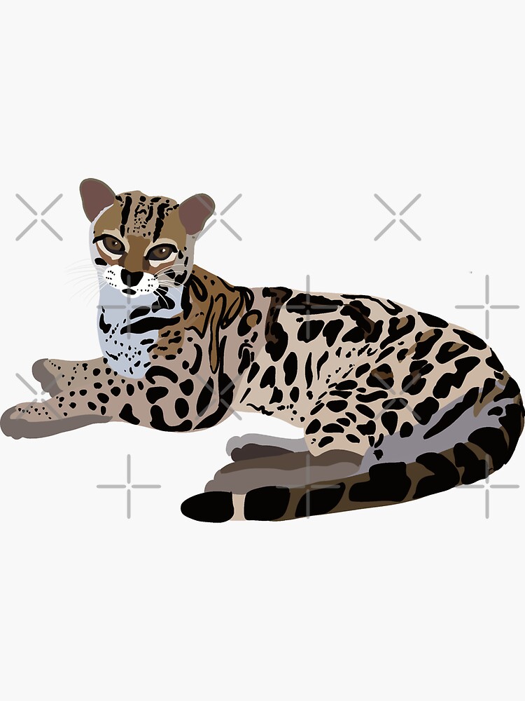 "M is for Margay " Sticker for Sale by thezoogirl | Redbubble