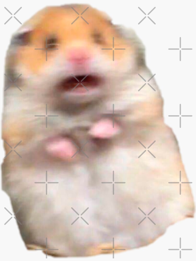 "Scared Hamster Meme" Sticker for Sale by aMemeStore | Redbubble