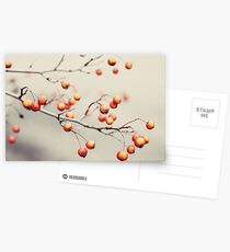 Postcards | Redbubble