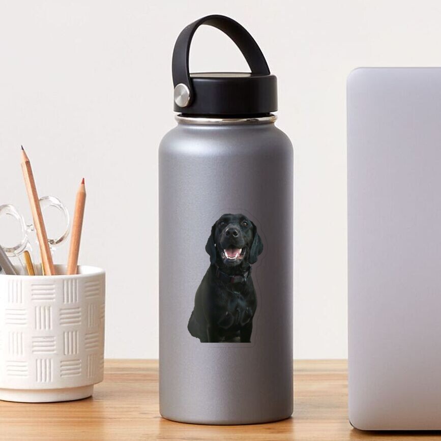 "Smiling black lab" Sticker for Sale by briwalter | Redbubble