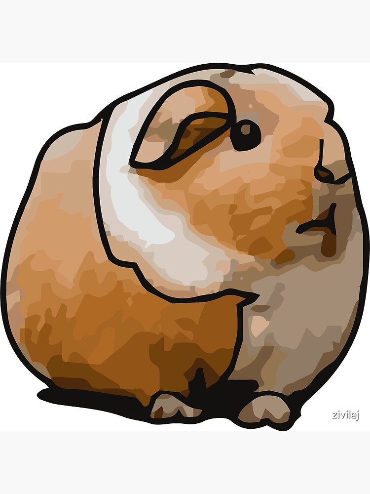 "Guinnea pig cursed meme illustration" Art Print for Sale by zivilej ...