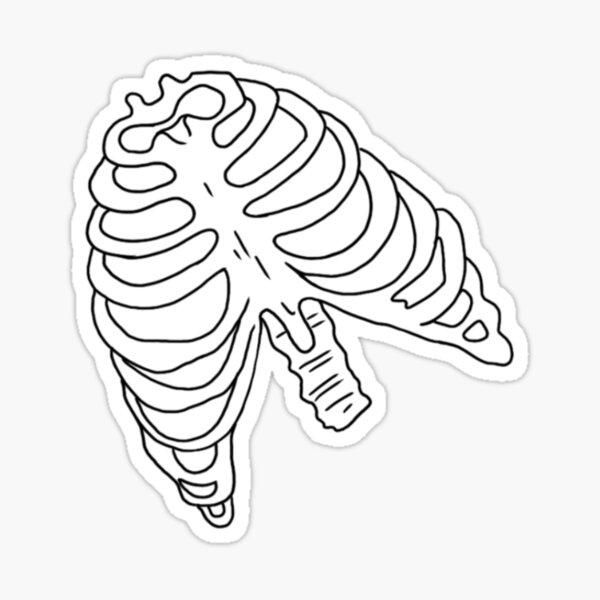 "Rib cage " Sticker by EverlyRose | Redbubble