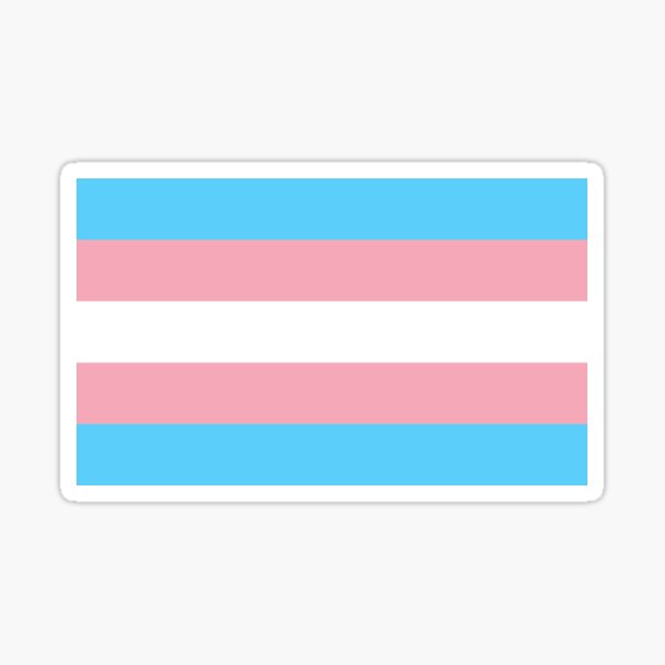 "TRANS FLAG" Sticker for Sale by occultart | Redbubble