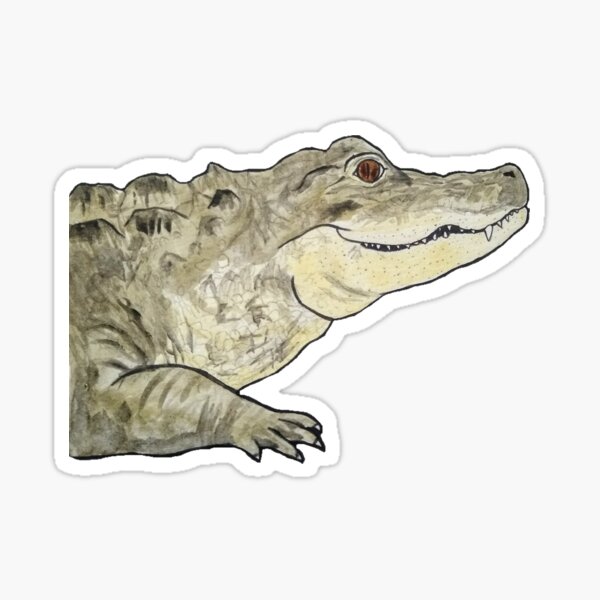 "Swamp Crawler" Sticker for Sale by Madrae | Redbubble