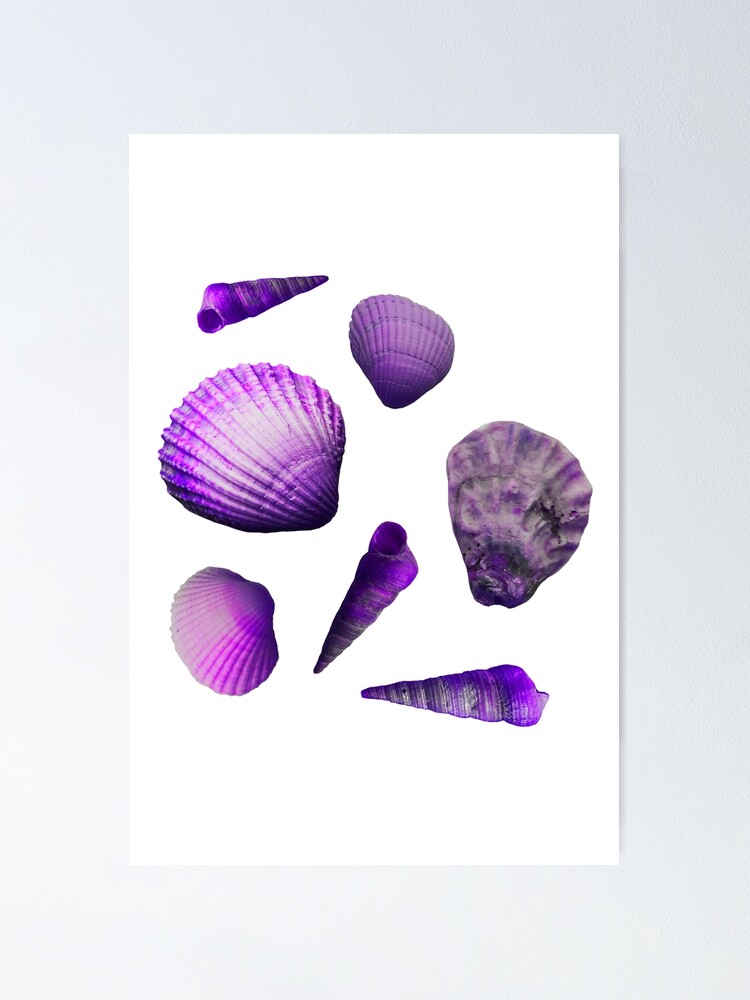 "Purple Sea Shells Pack" Poster by sherinartshop | Redbubble