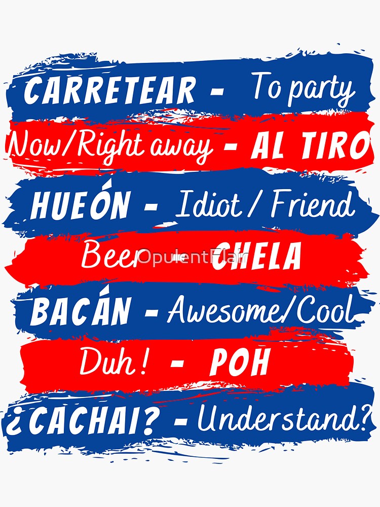 "Funny Chilean slang" Sticker for Sale by OpulentFlair | Redbubble