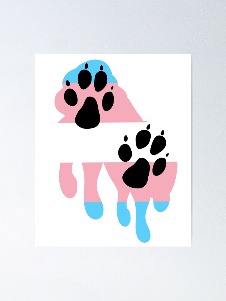 "Trans Flag Fox Paws" Poster by TheOddFox | Redbubble
