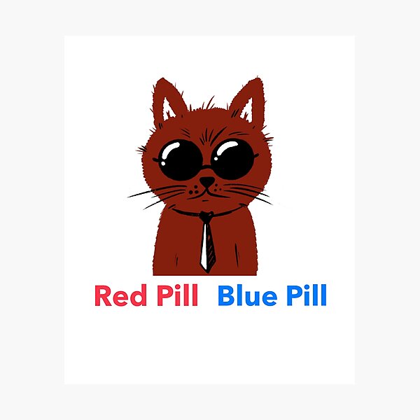 Matrix Black Cat Photographic Prints | Redbubble