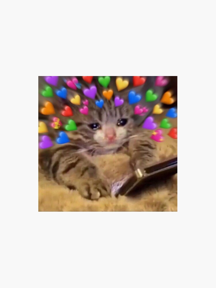 "crying cat" Sticker for Sale by hhorsebeef | Redbubble