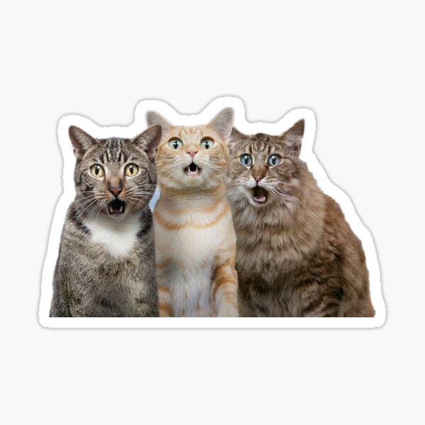 Pegatina «gatos lindos graciosos (DIVERTIDO)» de Mooda-Artist | Redbubble