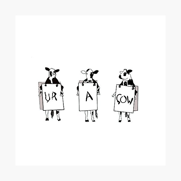 "Chick Fil-A cows "ur a cow"" Photographic Print for Sale by shershko ...