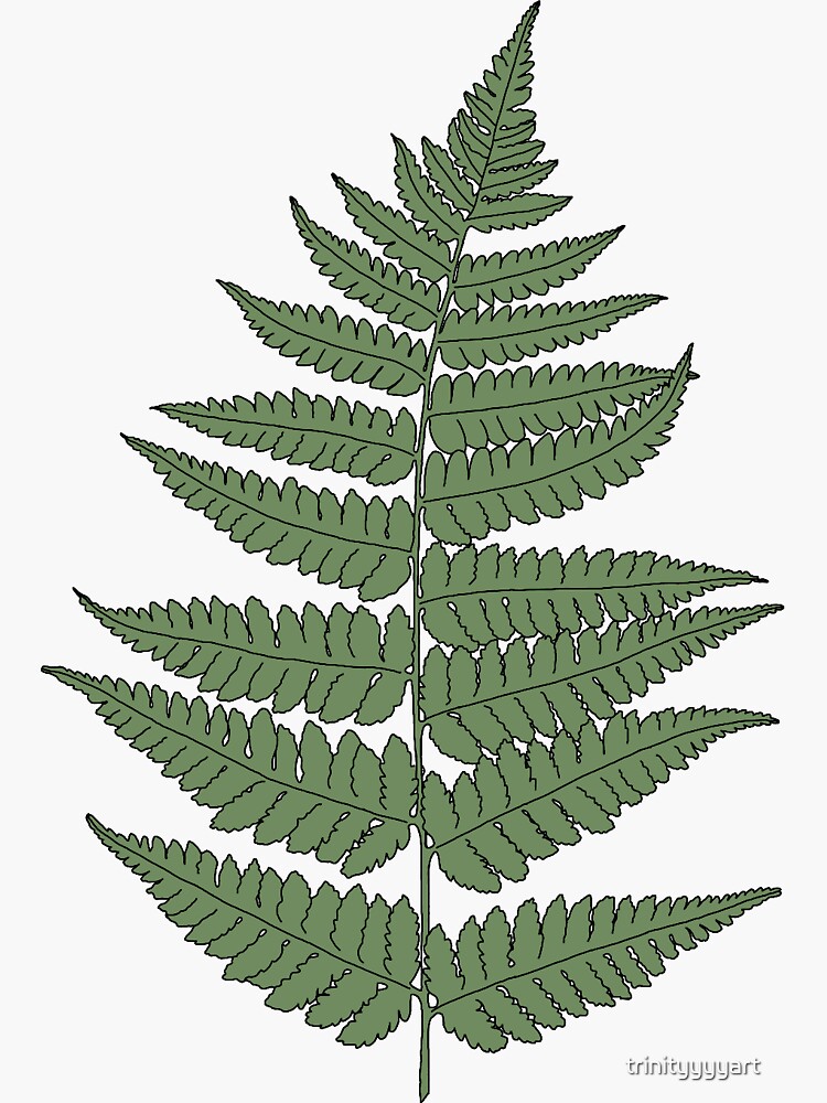 "Fern" Sticker for Sale by trinityyyyart | Redbubble