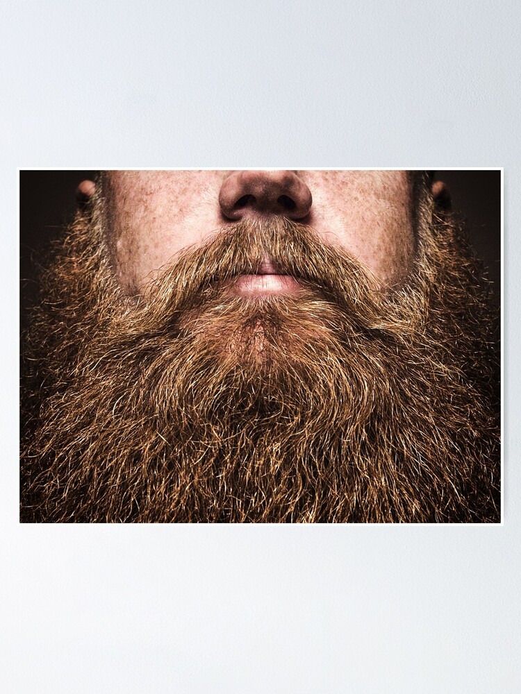 "Beard Face " Poster by Summer-fever | Redbubble