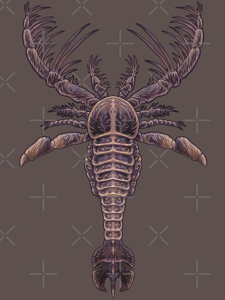 "Megalograptus welchi" T-shirt for Sale by coffeeisblack | Redbubble ...