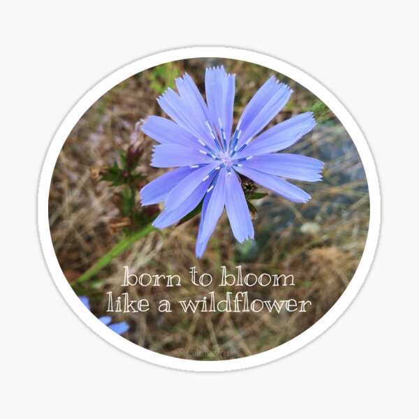 "Born to bloom like a wildflower" Sticker for Sale by soulestial ...