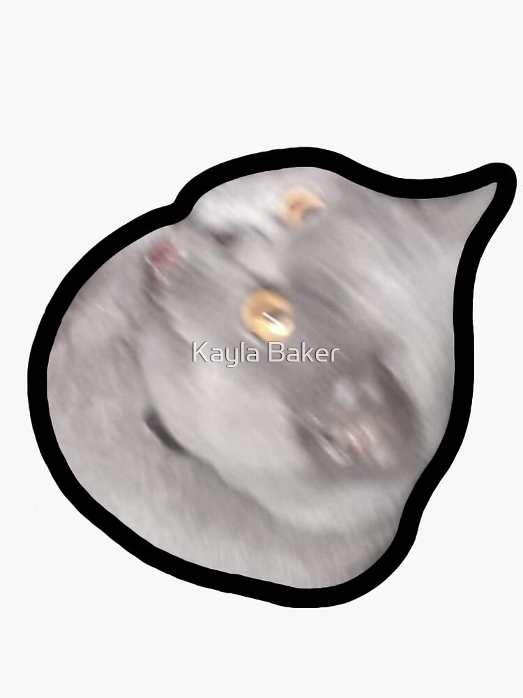 "HOLY HECC Chonky Cat" Sticker for Sale by intromissy | Redbubble
