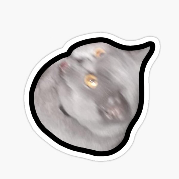 "HOLY HECC Chonky Cat" Sticker for Sale by intromissy | Redbubble