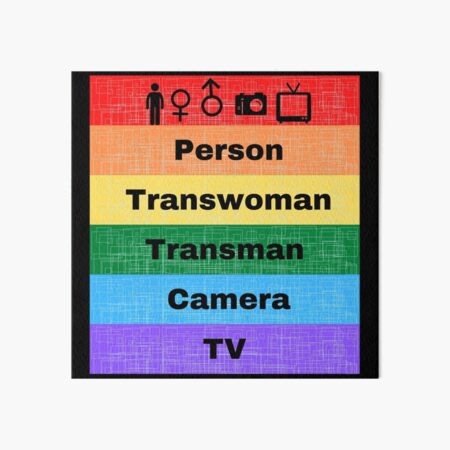 "Person Transwoman Transman Camera Tv Rainbow" Art Board Print by ...