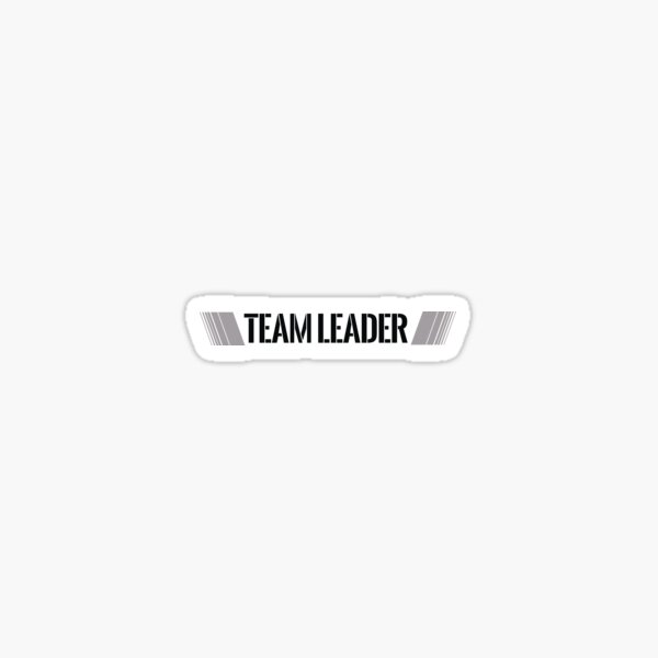 "TEAM LEADER TYPE ON DIFFERENT BACKGROUND COLORS" Sticker for Sale by ...