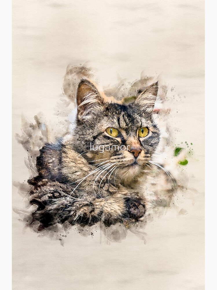 "Monsanto Stray Cat Watercolor" Metal Print for Sale by lugamor | Redbubble