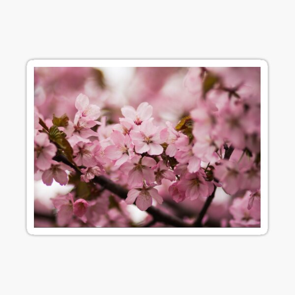 Artcoustic Design Shop | Redbubble