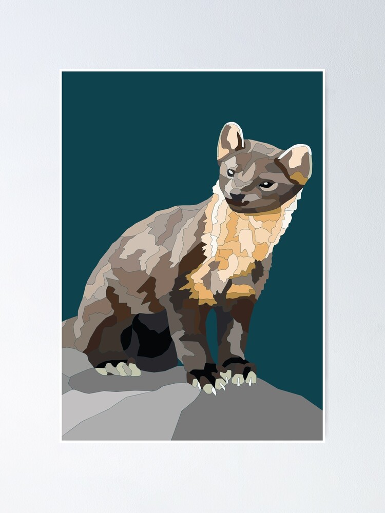 "Pine Marten Portrait Design" Poster by Wildlife15 | Redbubble