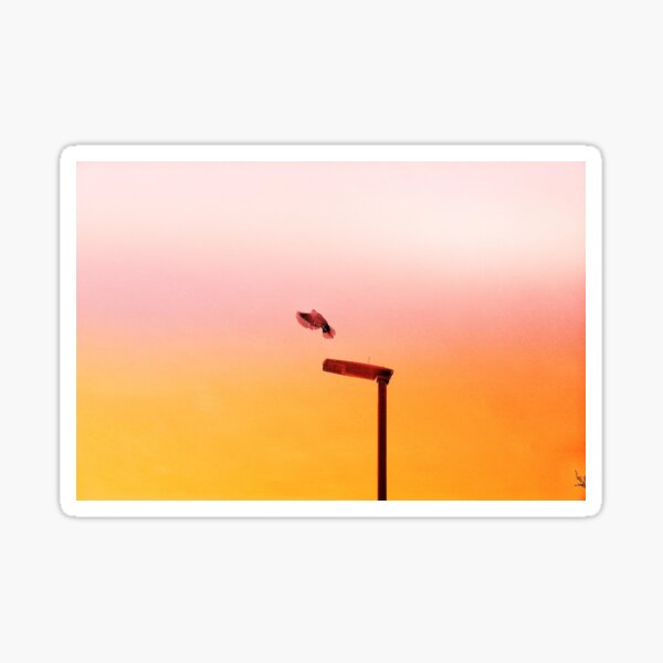 "Take to flight" Sticker for Sale by HutchinsonsArt | Redbubble