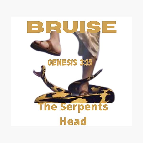 Lámina fotográfica «Magullar la cabeza de las serpientes» de SwordofGod ...