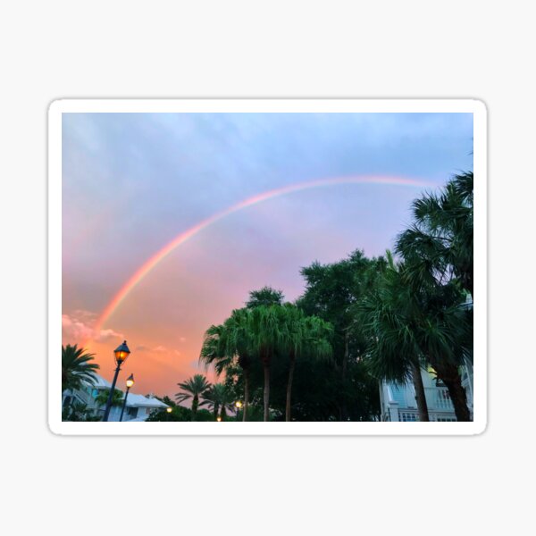 "Florida Rainbow" Sticker for Sale by ANPolo | Redbubble