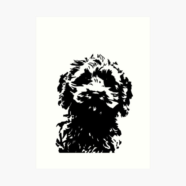 Cockapoo Art Prints | Redbubble