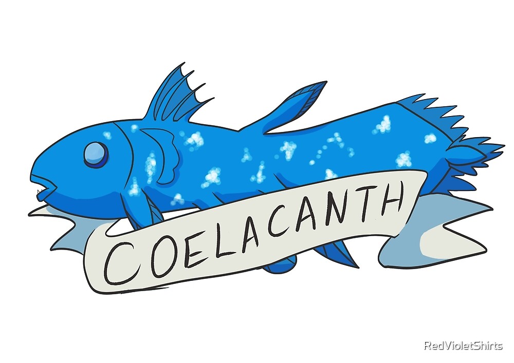 "Coelacanth Version 2" by RedVioletShirts | Redbubble
