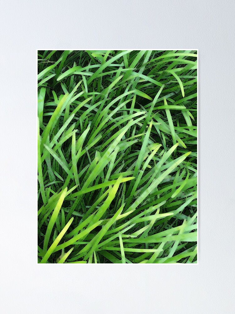 "Grass" Poster by eedeeo | Redbubble