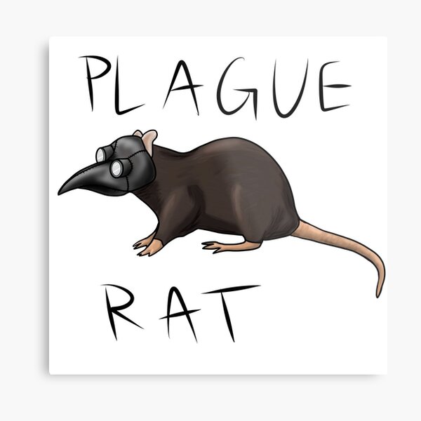 Plague Rat Metal Prints | Redbubble