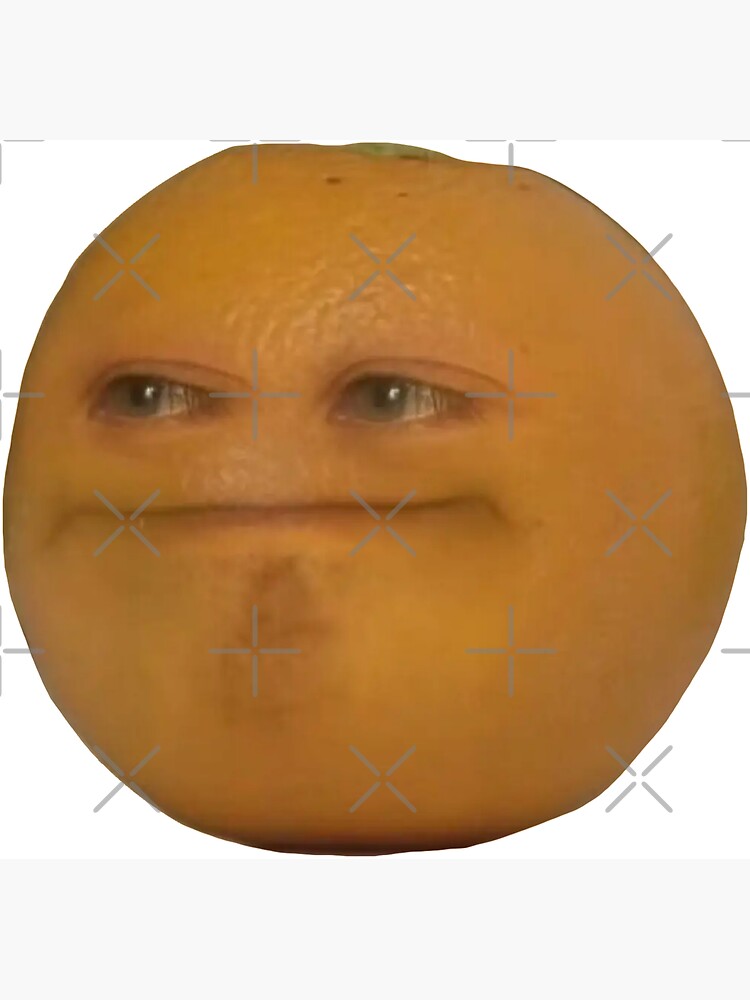 "Annoying Orange Straight Face" Magnet for Sale by Catpuss | Redbubble