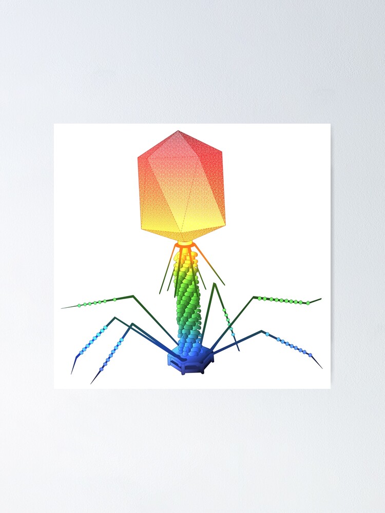 "Rainbow Bacteriophage Virus Bacteria Killer Science Molecular Biology ...