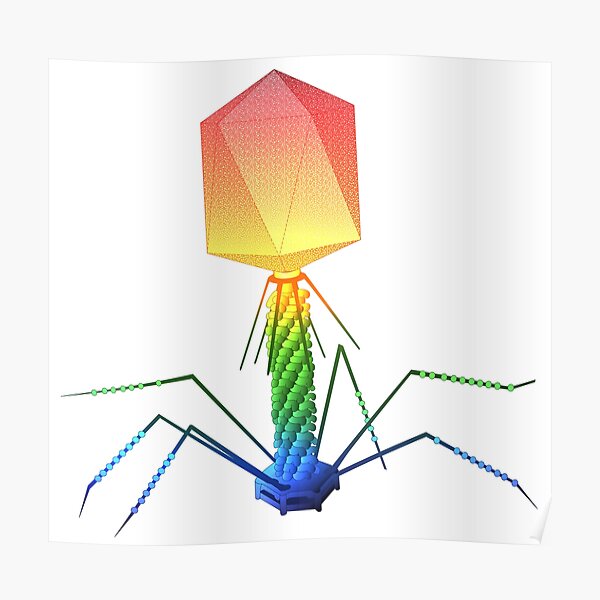 "Rainbow Bacteriophage Virus Bacteria Killer Science Molecular Biology ...