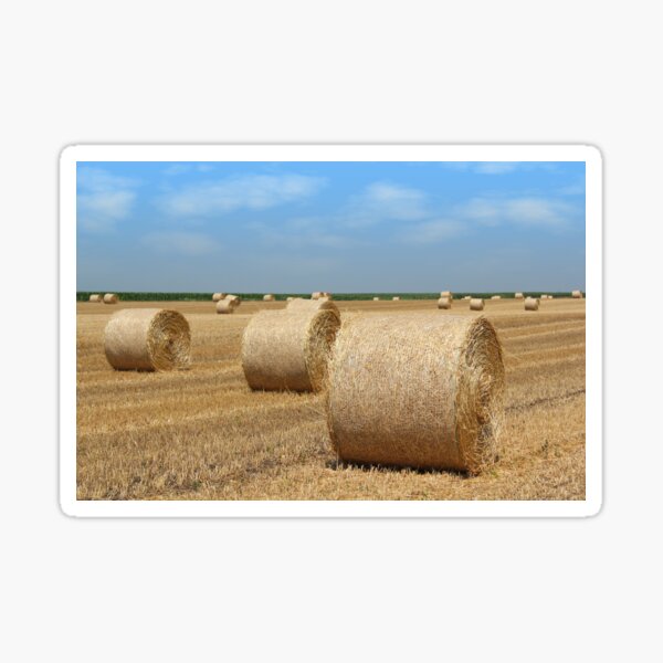 "straw bales agriculture industry" Sticker for Sale by goceris | Redbubble