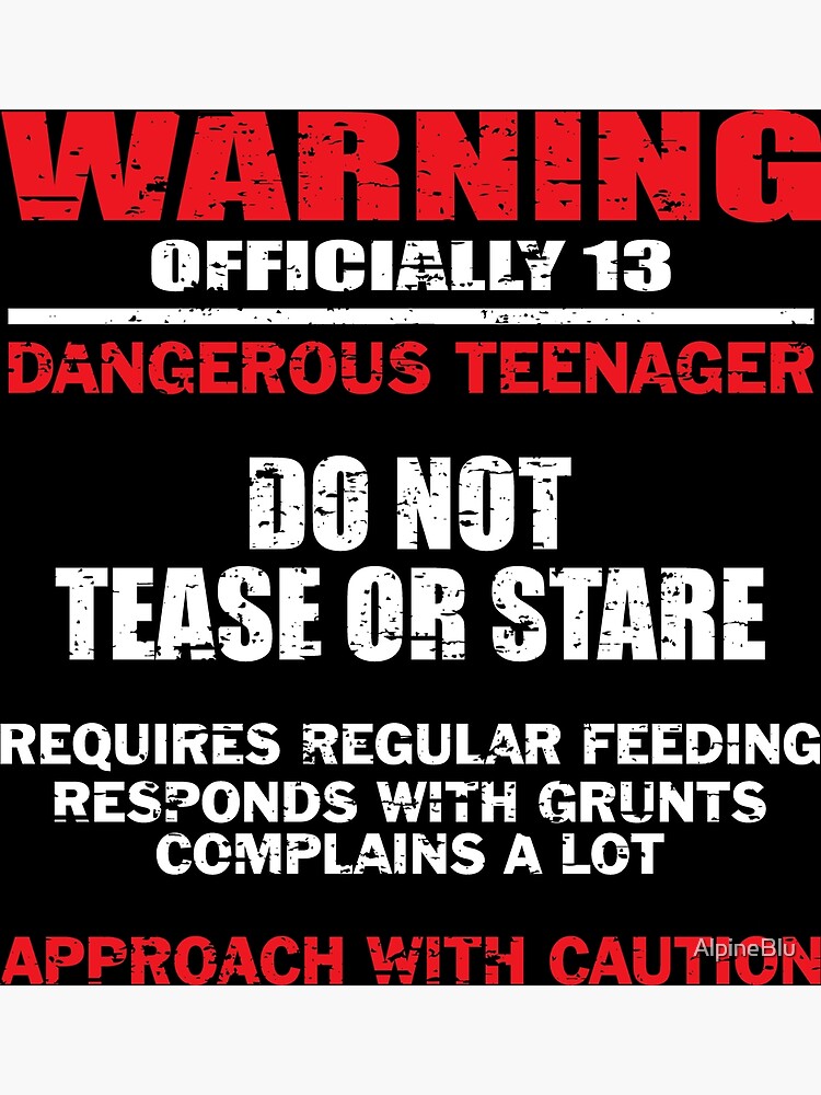 "Warning Officially A Teenager 13th Birthday" Poster by AlpineBlu ...