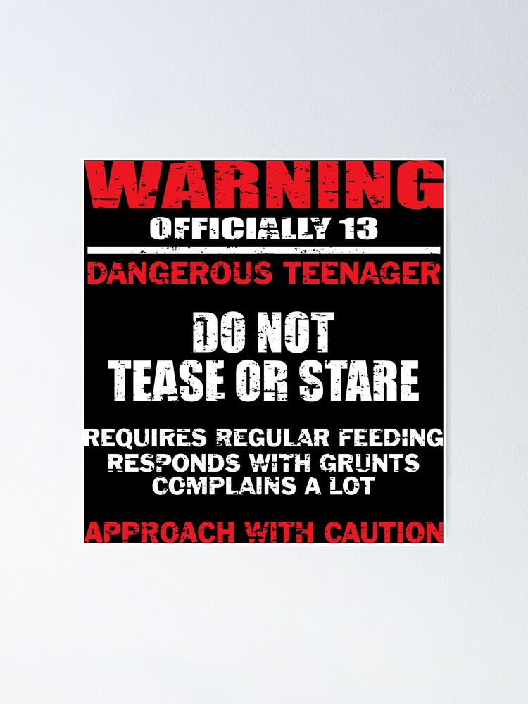 "Warning Officially A Teenager 13th Birthday" Poster by AlpineBlu ...