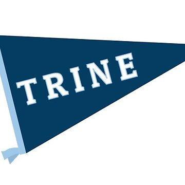 "Trine University pennant sticker" Sticker for Sale by lindsey788 ...
