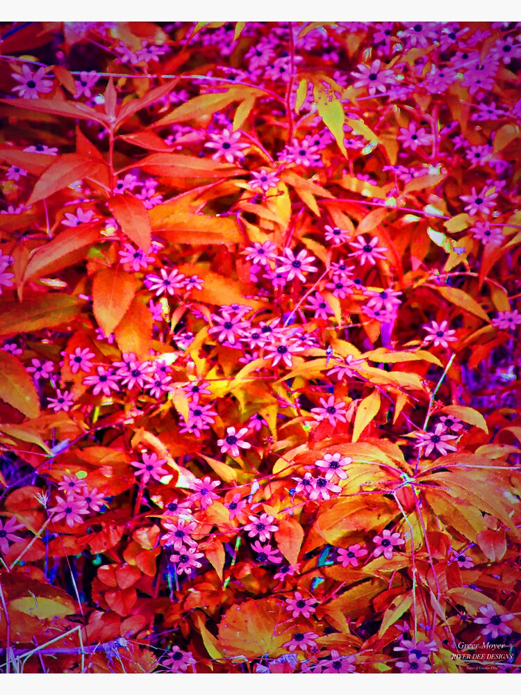 "New Flowers Clash With Color" Sticker by RiverDeeDesigns | Redbubble