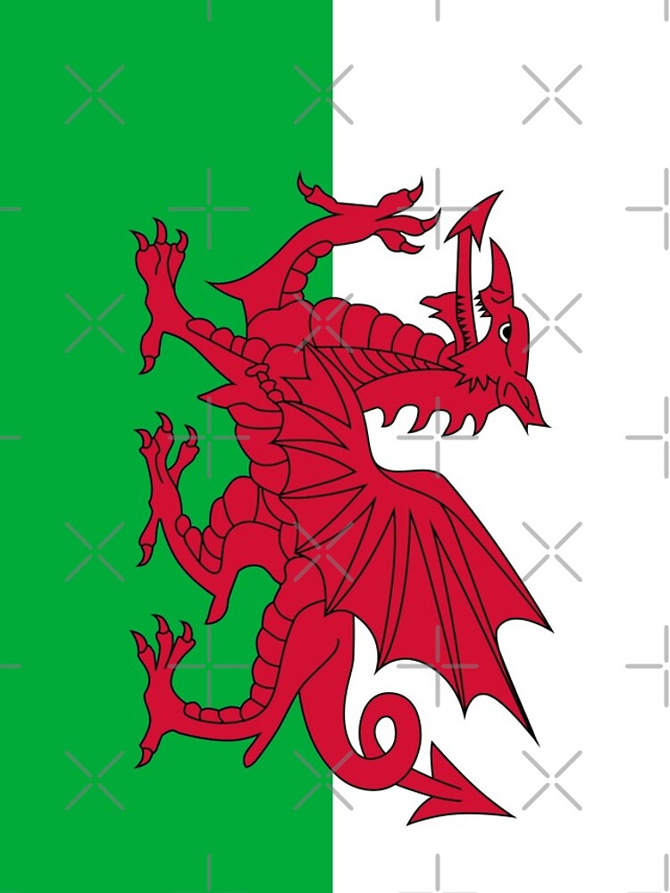 "Flag of Wales - Welsh Flag" iPhone Case for Sale by Bruiserstang ...