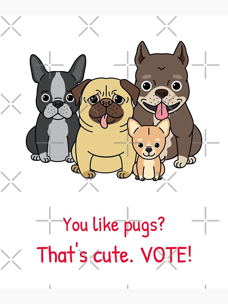 Funny Voting Posters For Kids