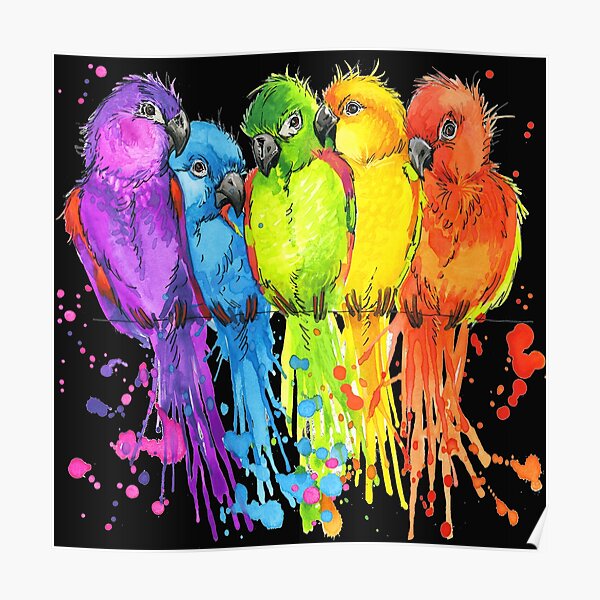 "Cool Colorful Parrots" Poster for Sale by iceykool | Redbubble