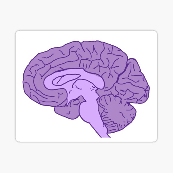 "Purple Brain" Sticker for Sale by icon-oclast | Redbubble