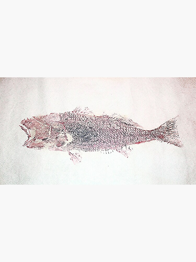 "Gyotaku fish rubbing, Florida Redfish" Art Print by abarbour57 | Redbubble