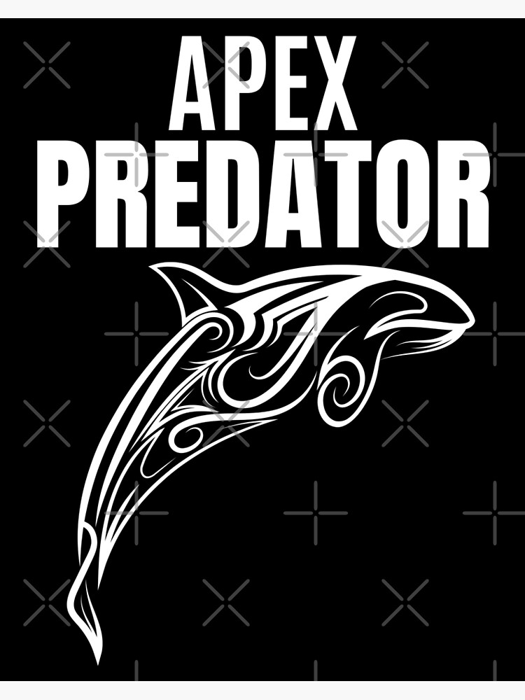 "Apex Predator - killer whale" Poster for Sale by RIVEofficial | Redbubble