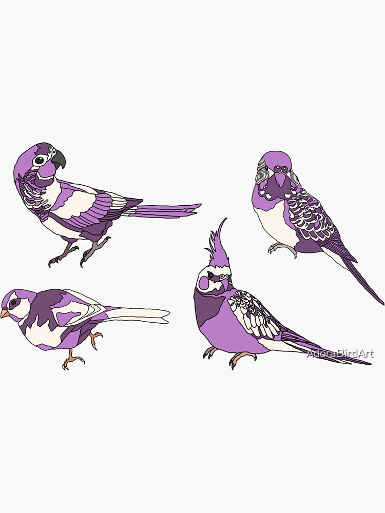 "Queer Pride Birds Set" Sticker for Sale by AdoraBirdArt | Redbubble