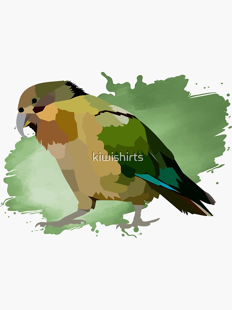 "Kea Bird from New Zealand" Sticker for Sale by kiwishirts | Redbubble