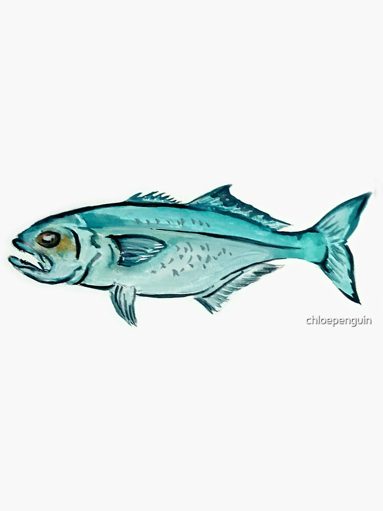 "Bluefish" Sticker for Sale by chloepenguin | Redbubble